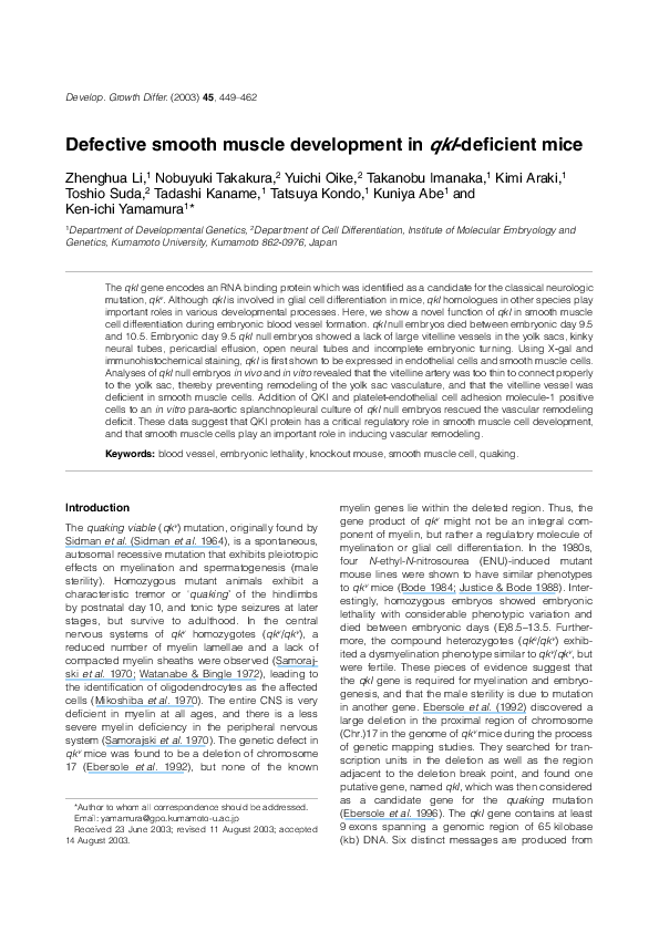 (PDF) Defective smooth muscle development in qkI-deficient mice