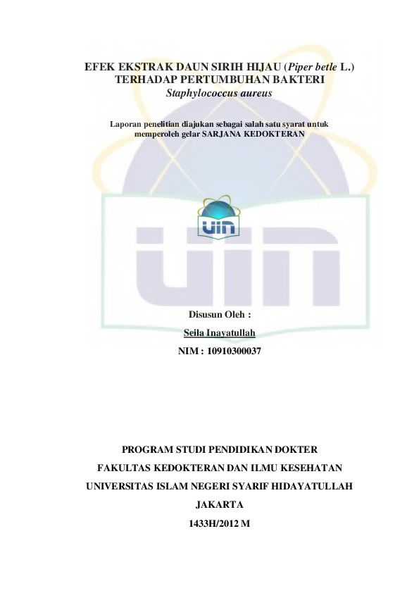 (PDF) Seila Inayatullah fkik