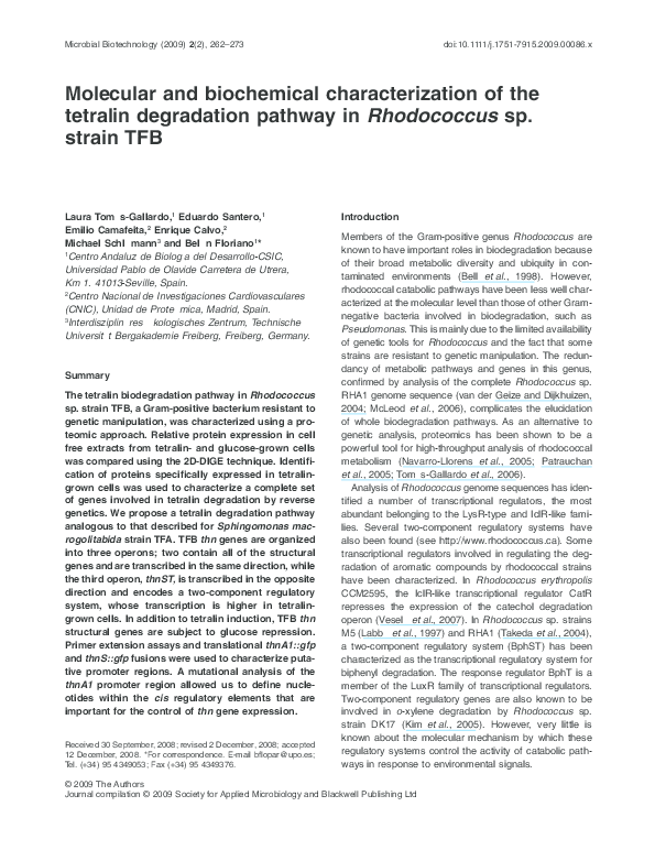 (PDF) Molecular and biochemical characterization of urease and survival ...