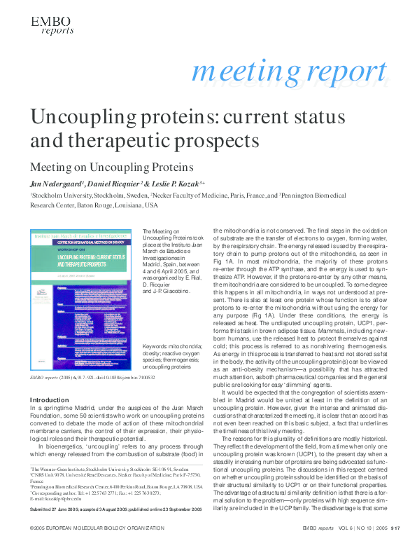 (PDF) Uncoupling proteins: current status and therapeutic prospects