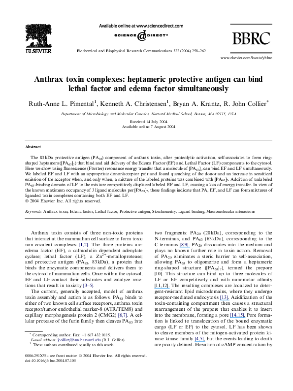 (PDF) Anthrax toxin complexes: heptameric protective antigen can bind ...