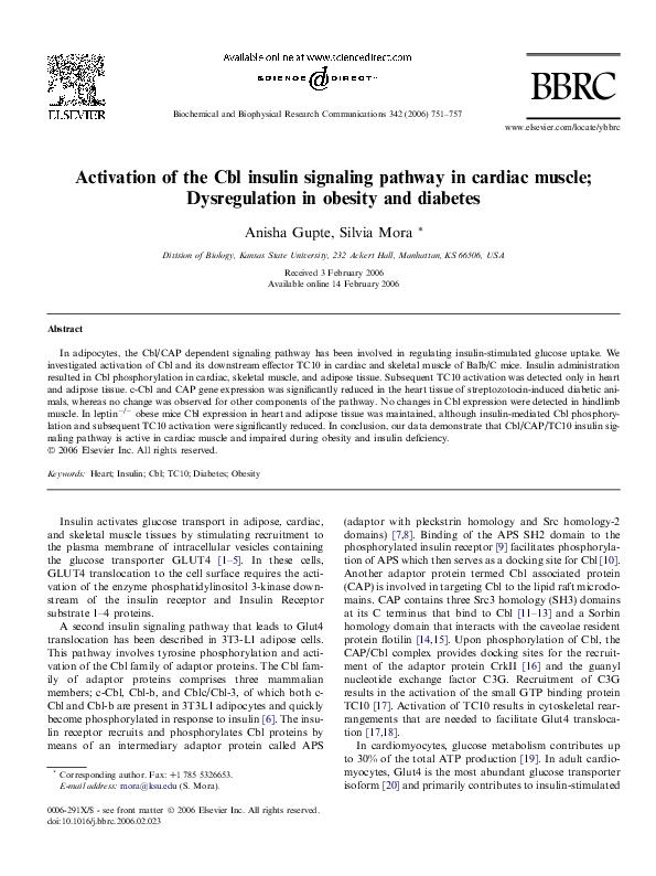 (PDF) Activation of the Cbl insulin signaling pathway in cardiac muscle ...