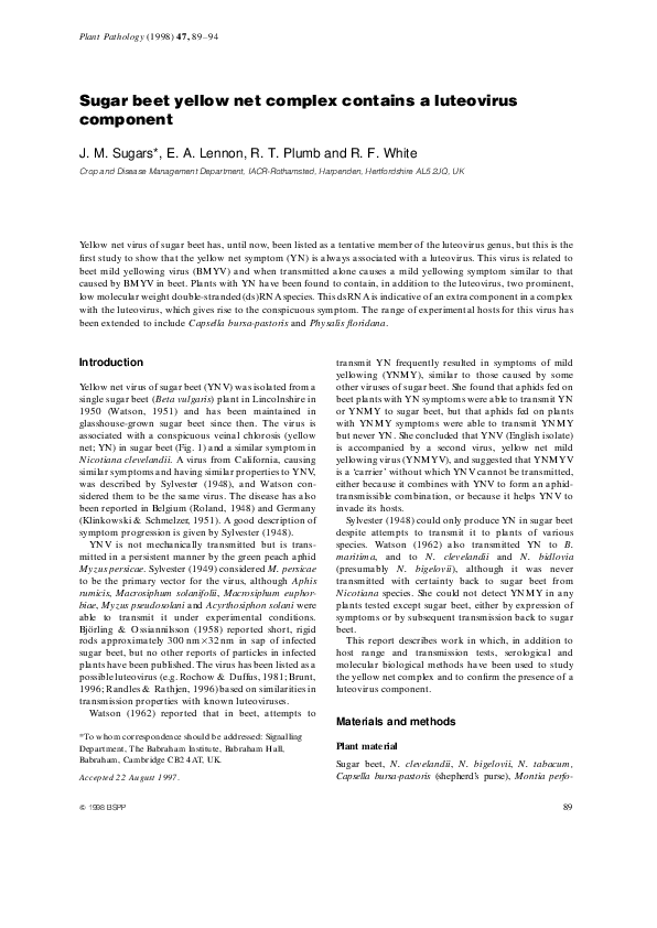 (PDF) Sugar beet yellow net complex contains a luteovirus component