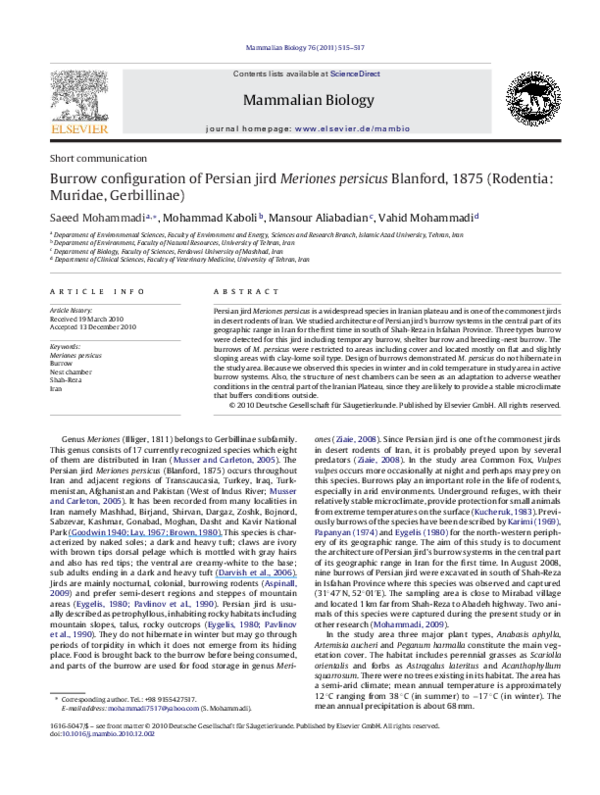 (PDF) Burrow configuration of Persian jird Meriones persicus Blanford ...