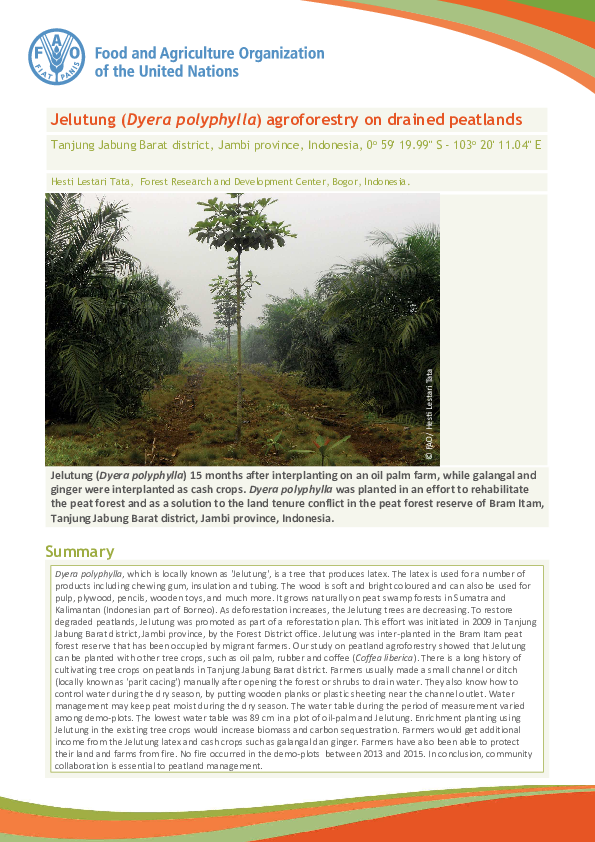 (PDF) Jelutung (Dyera polyphylla) agroforestry on drained peatlands