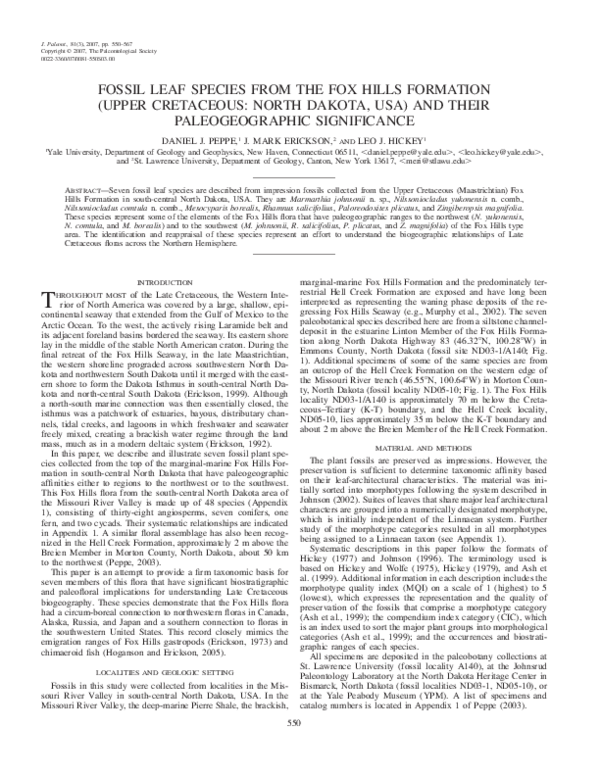 (PDF) Fossil Leaf Species From the Fox Hills Formation (Upper ...