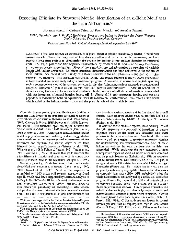 (PDF) Anchoring of the giant muscle protein titin in muscle cells ...