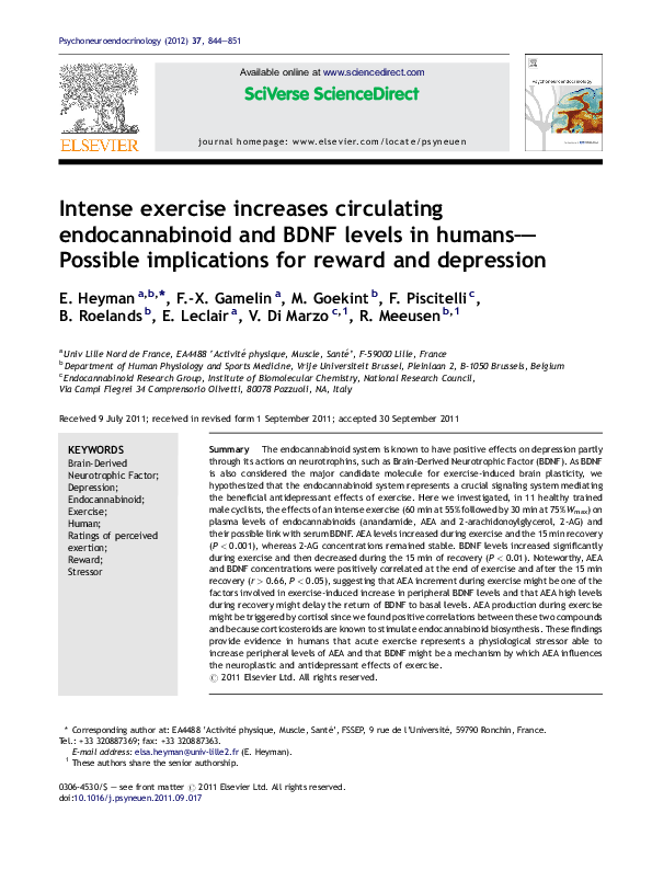 (PDF) Intense exercise increases circulating endocannabinoid and BDNF ...