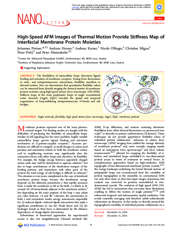 (PDF) High-speed AFM images of thermal motion provide stiffness map of interfacial membrane ...