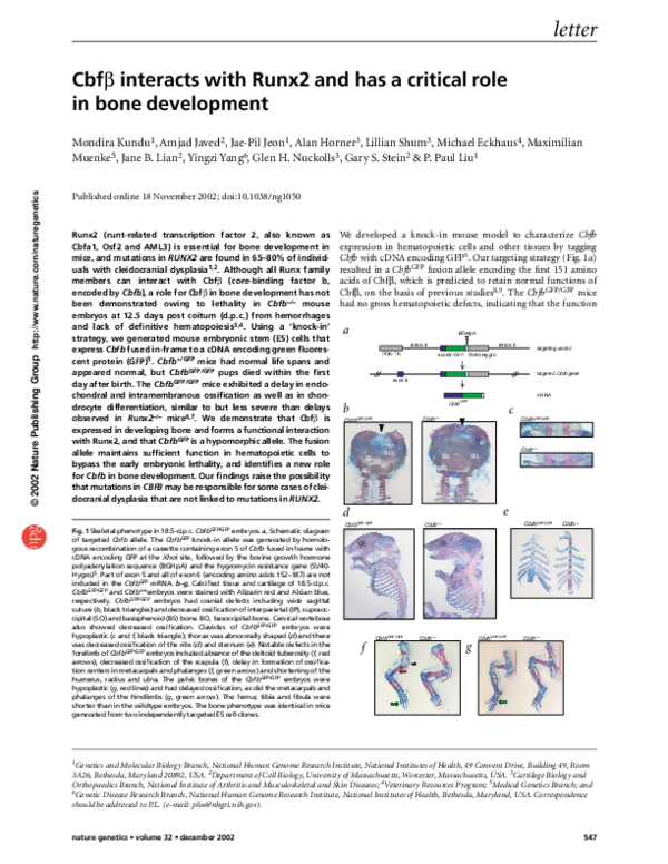 (PDF) Cbfβ interacts with Runx2 and has a critical role in bone development | A. Horner ...