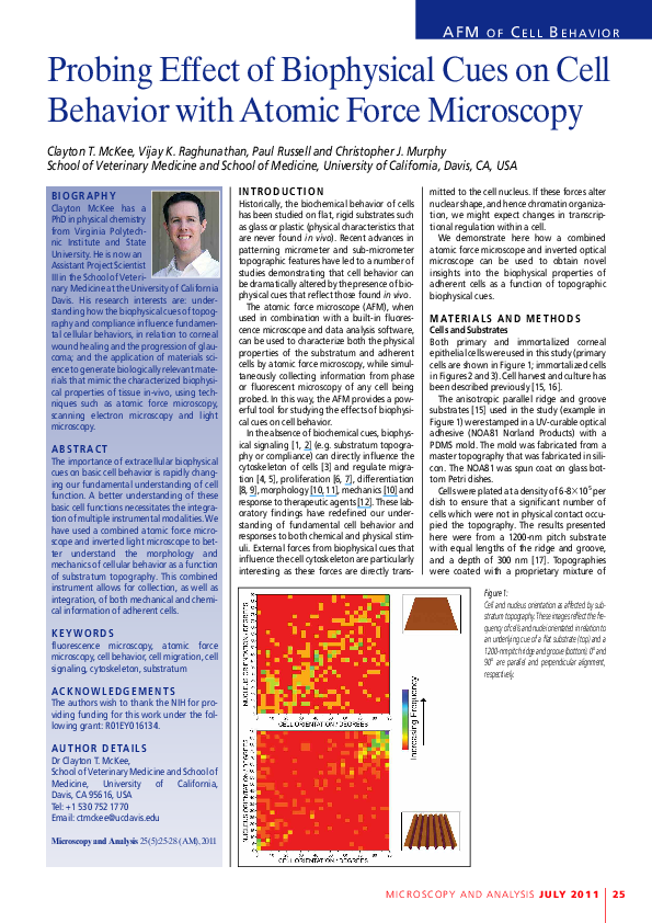 (PDF) Probing effect of biophysical cues on cell behavior with atomic ...
