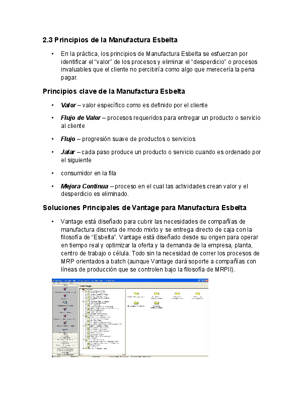 (DOC) 2.3 Principios de la Manufactura Esbelta