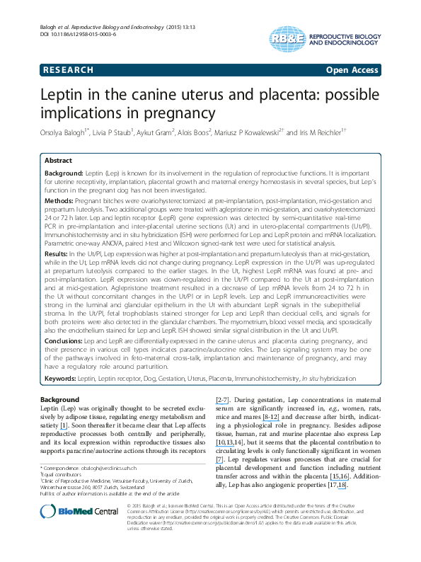 (PDF) Leptin in the canine uterus and placenta: possible implications ...