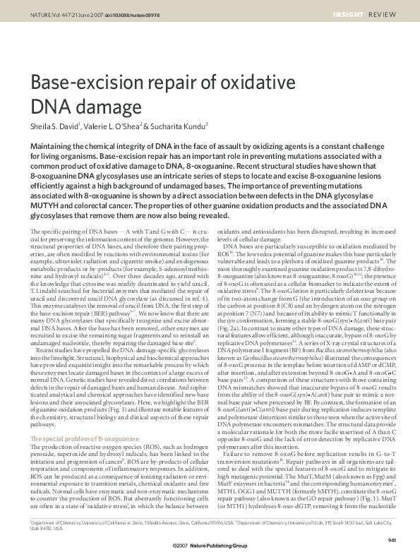 (PDF) Base-excision repair of oxidative DNA damage