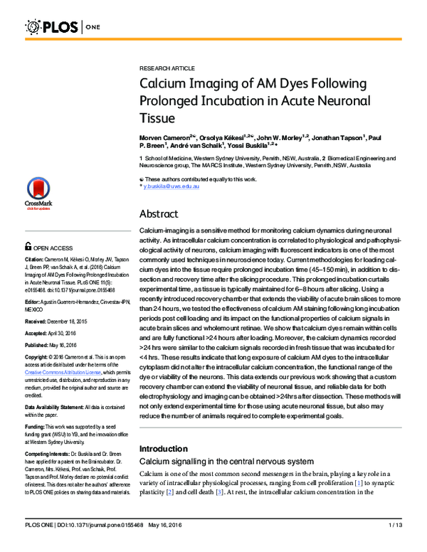 (PDF) Calcium Imaging of AM Dyes Following Prolonged Incubation in ...