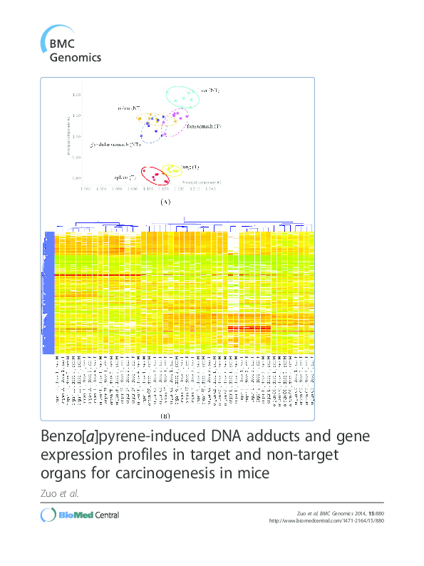 (PDF) Benzo pyrene-induced DNA adducts and gene expression profiles in ...