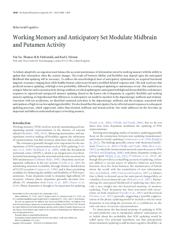 (PDF) Working memory and anticipatory set modulate midbrain and putamen ...