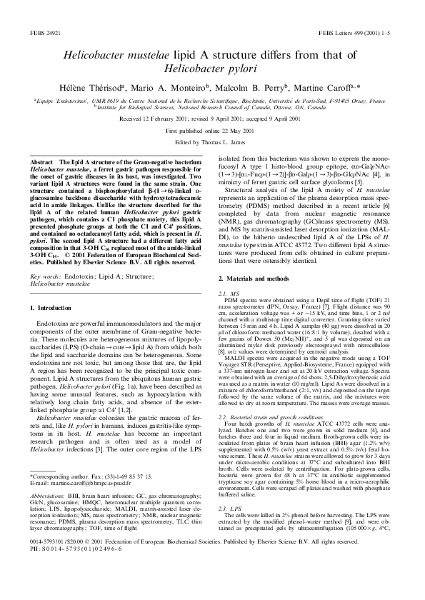 (PDF) Helicobacter mustelae lipid A structure differs from that of ...