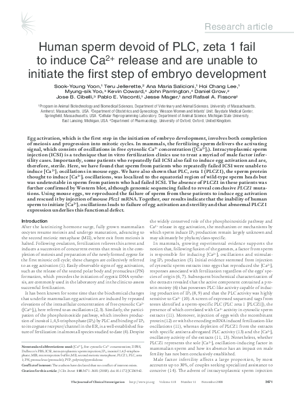 (PDF) Reduced amounts and abnormal forms of phospholipase C zeta (PLC ) in spermatozoa from ...