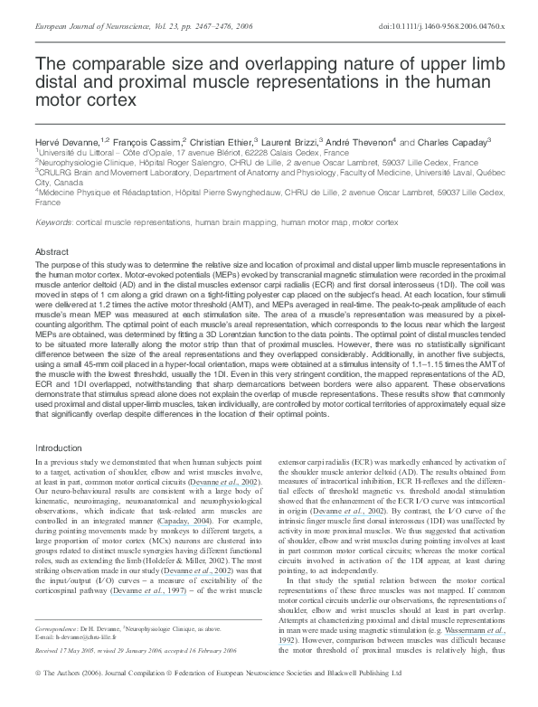 (PDF) The comparable size and overlapping nature of upper limb distal ...