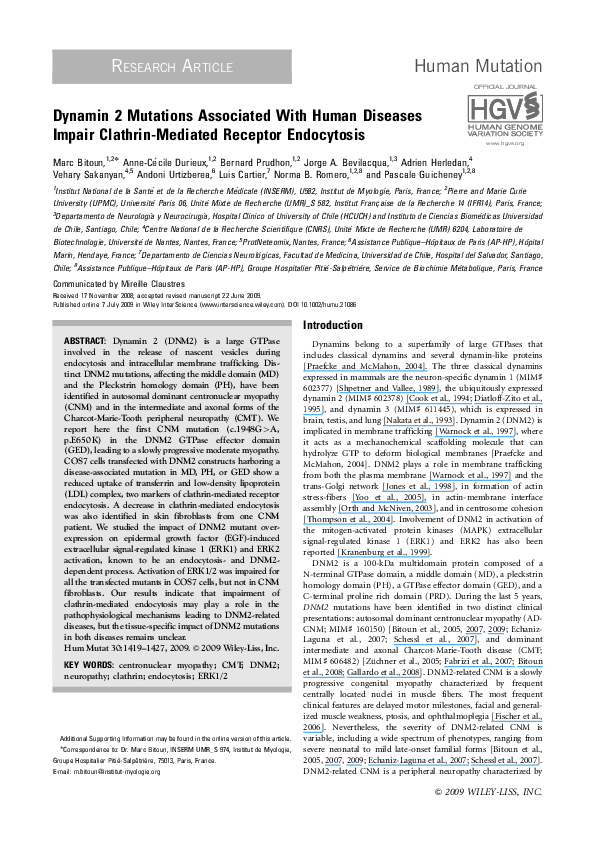 (PDF) Dynamin 2 mutations associated with human diseases impair ...