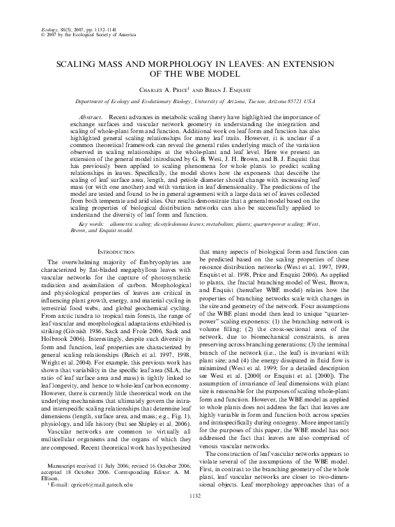 (PDF) SCALING MASS AND MORPHOLOGY IN LEAVES: AN EXTENSION OF THE WBE MODEL