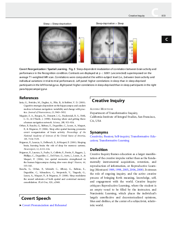 (PDF) Creative Inquiry. Entry in: The encyclopedia of the sciences of ...