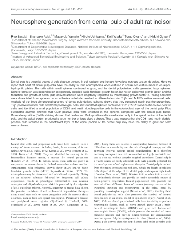 (PDF) Neurosphere generation from dental pulp of adult rat incisor