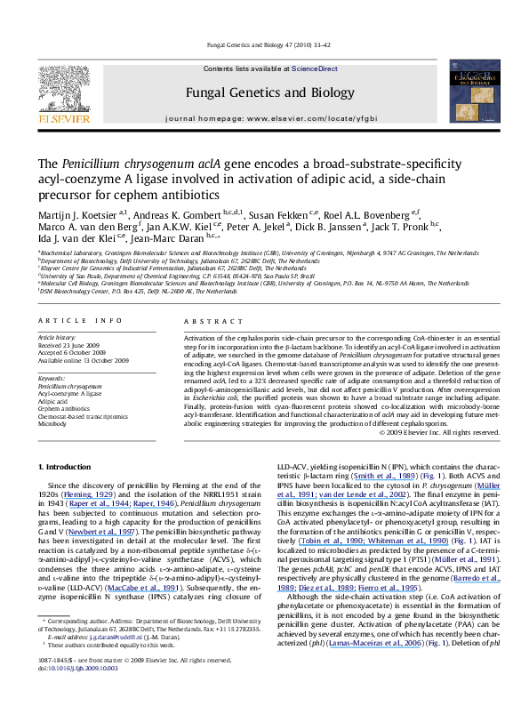 (PDF) The Penicillium chrysogenum aclA gene encodes a broad-substrate ...