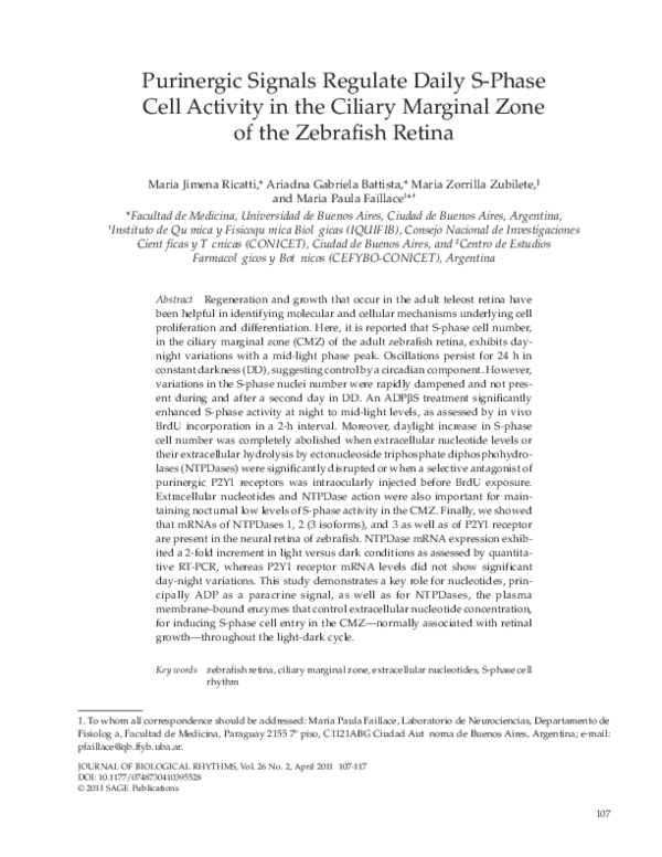 (PDF) Purinergic Signals Regulate Daily S-Phase Cell Activity in the ...