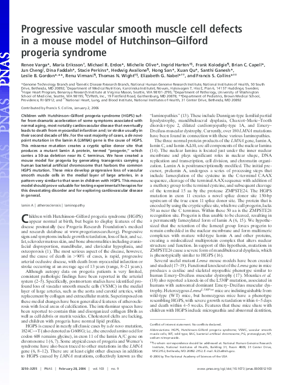 (PDF) Progressive vascular smooth muscle cell defects in a mouse model ...