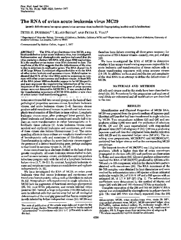 (PDF) The RNA of avian acute leukemia virus MC29