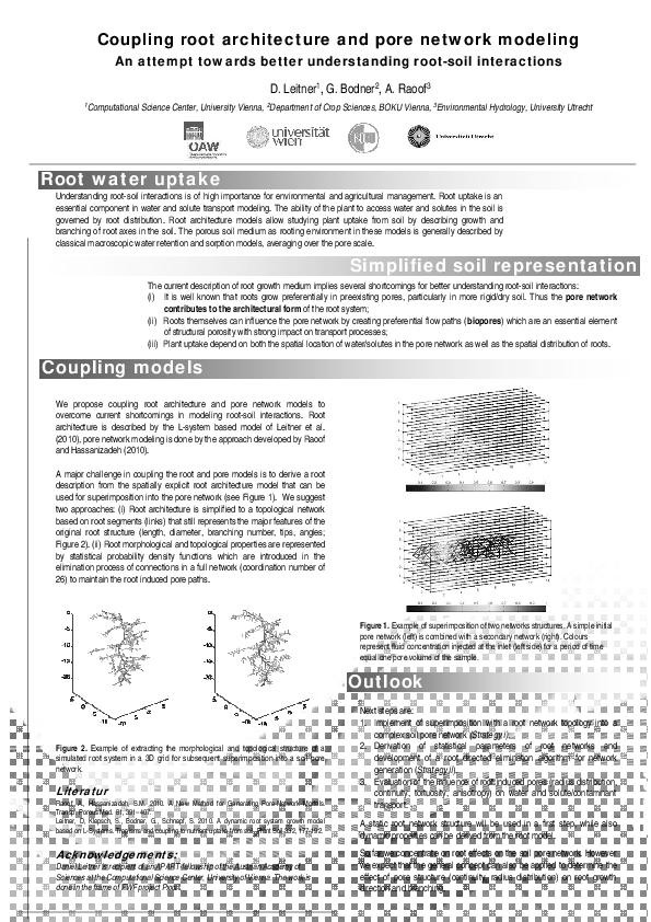 Pdf Coupling Root Architecture And Pore Network Modeling An Attempt