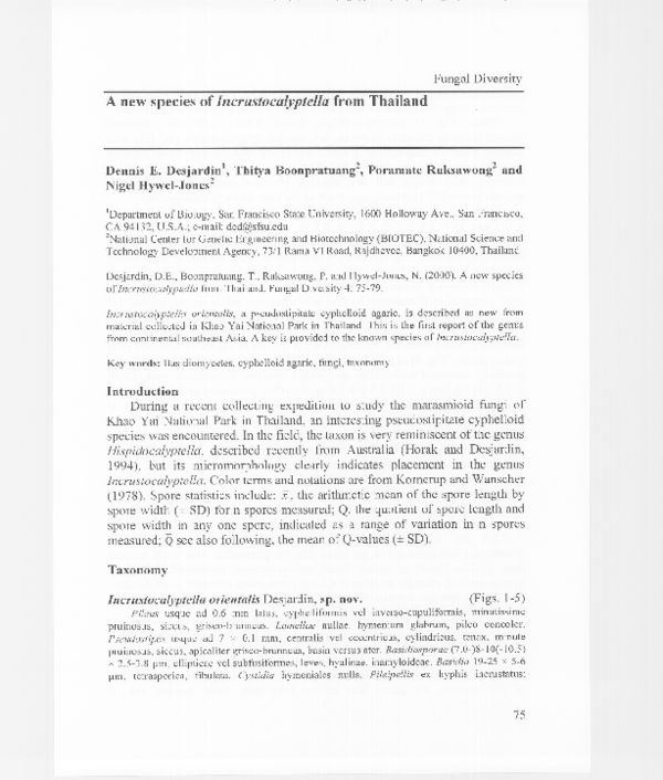 (PDF) Spongiforma squarepantsii, a new species of gasteroid bolete from ...