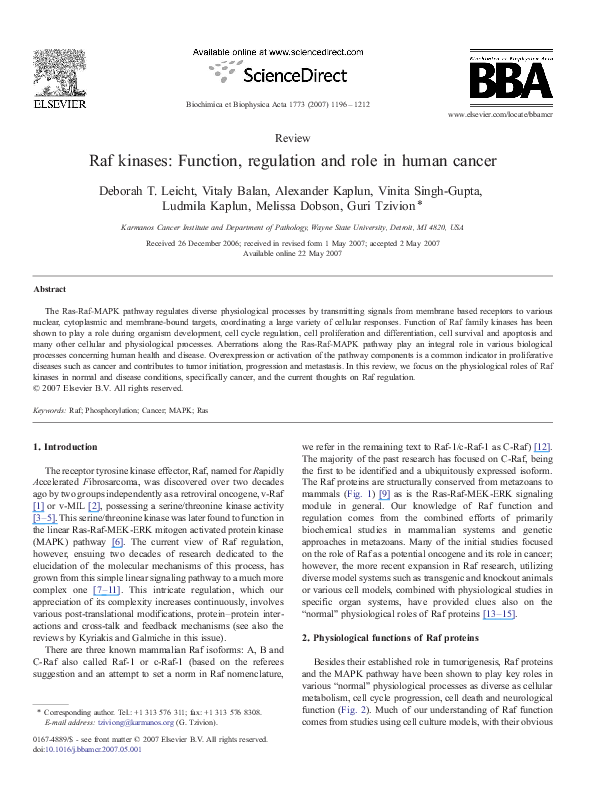 (PDF) Raf kinases: Function, regulation and role in human cancer