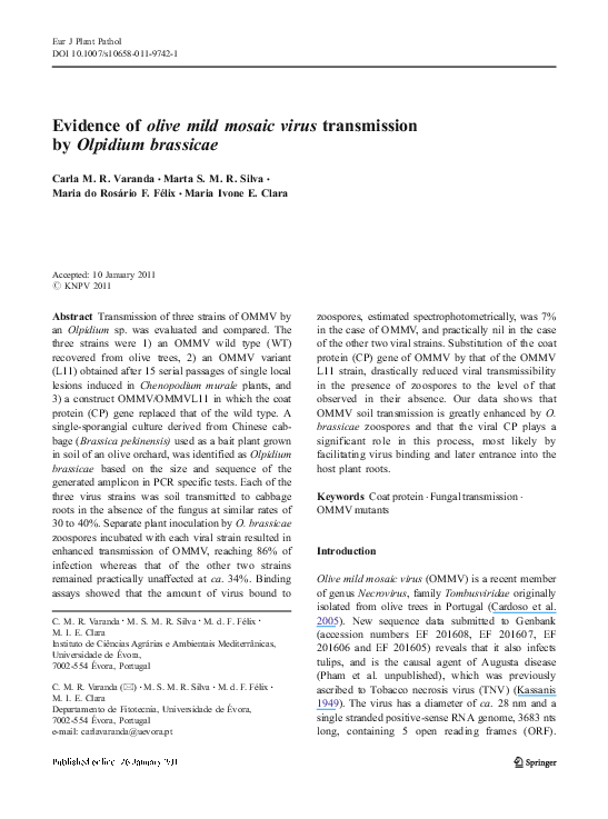 (PDF) Evidence of olive mild mosaic virus transmission by Olpidium ...