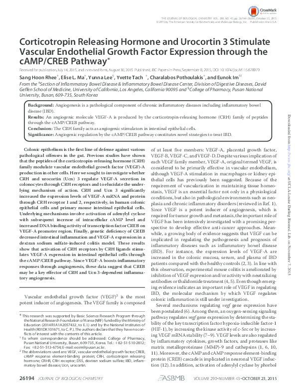 (PDF) Corticotropin-releasing hormone and urocortin: redundant or ...