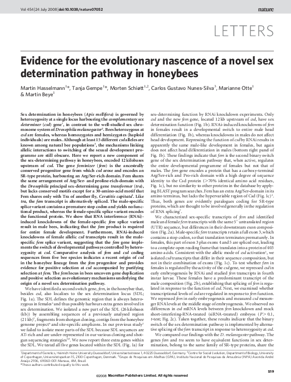 Pdf Evidence For The Evolutionary Nascence Of A Novel Sex