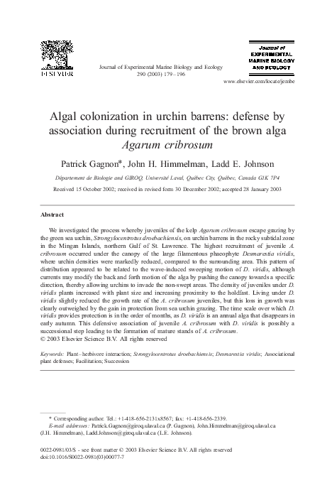 (PDF) Algal colonization in urchin barrens: defense by association ...