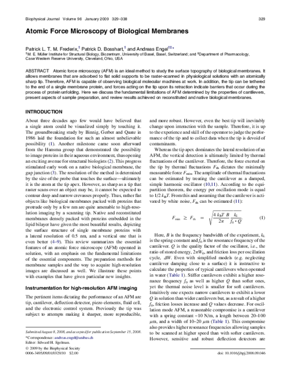 (PDF) Atomic Force Microscopy of Biological Membranes