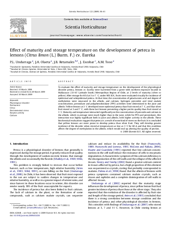 (PDF) Effect of maturity and storage temperature on the development of ...