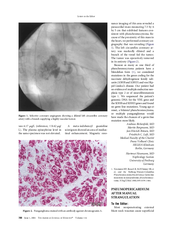 (PDF) A rare complication of manual strangulation: Hypopharyngeal ...
