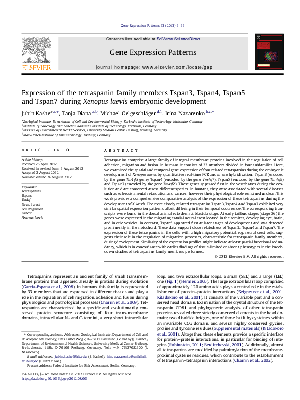 (PDF) Expression of the tetraspanin family members Tspan3, Tspan4 ...