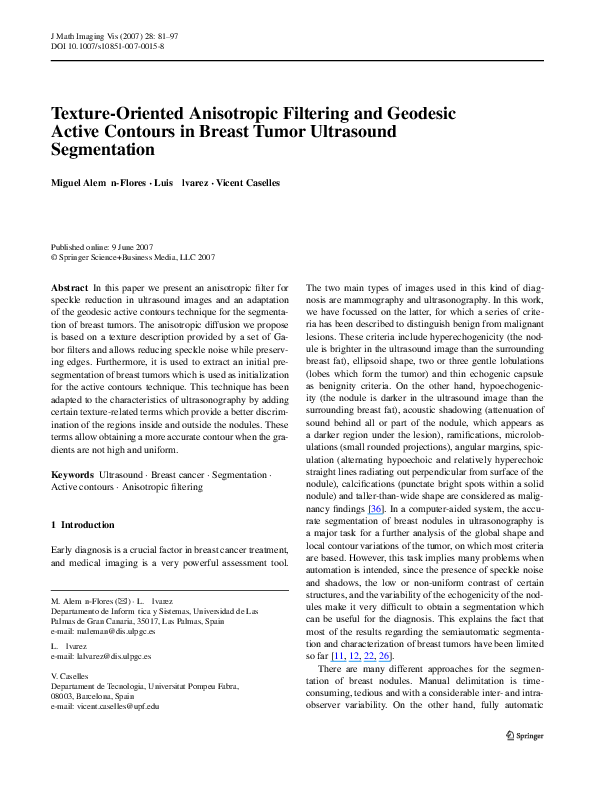 (PDF) Texture-Oriented Anisotropic Filtering and Geodesic Active Contours in Breast Tumor ...
