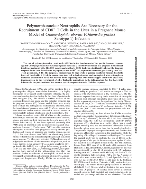 (PDF) Polymorphonuclear Neutrophils Are Necessary for the Recruitment ...