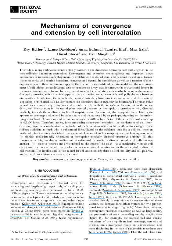 (PDF) Mechanisms of convergence and extension by cell intercalation