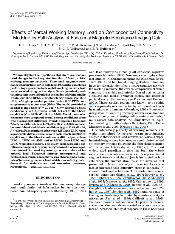(PDF) Effects of Verbal Working Memory Load on Corticocortical Connectivity Modeled by Path ...
