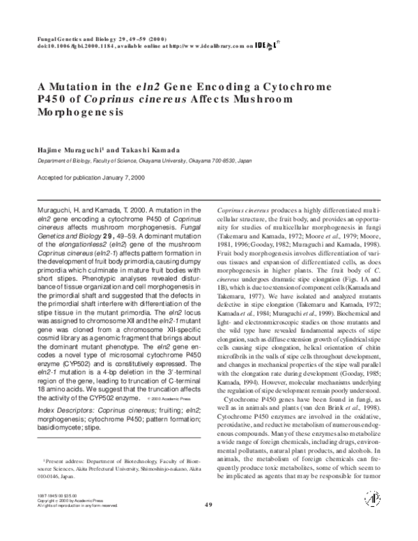 (PDF) A Mutation in the eln2 Gene Encoding a Cytochrome P450 of ...