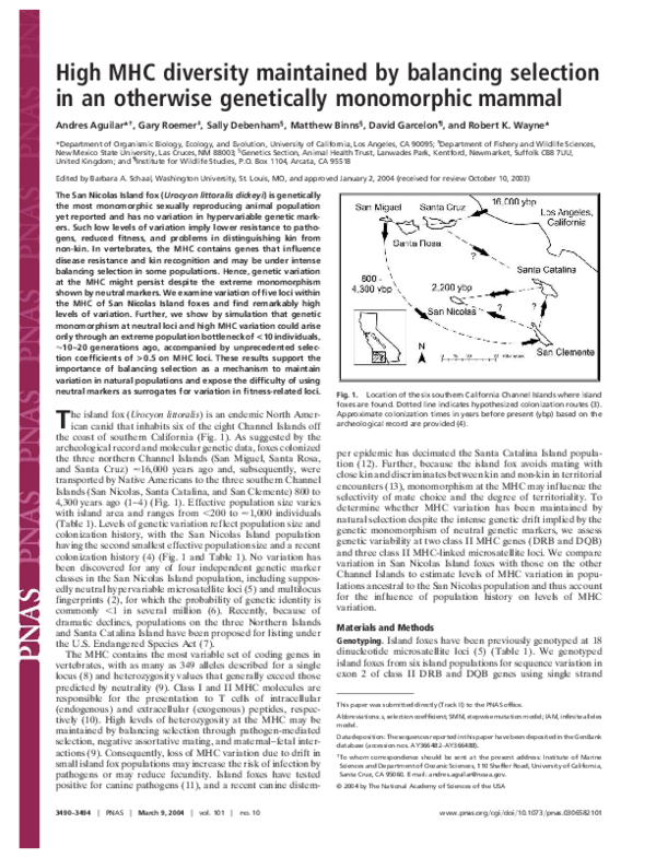 (PDF) High MHC diversity maintained by balancing selection in an ...