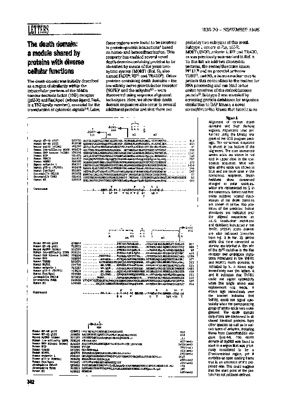 (PDF) The death domain: a module shared by proteins with diverse ...